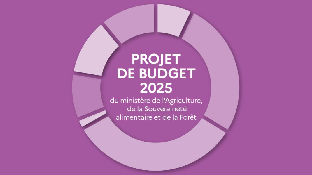 PLF-PLFSS 2025 : la ministre Annie Genevard obtient un budget destiné à tenir les engagements de ...